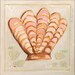 Pink Shell Square Art Print, Sea Shell Art Print, Coastal Granddaughter ...