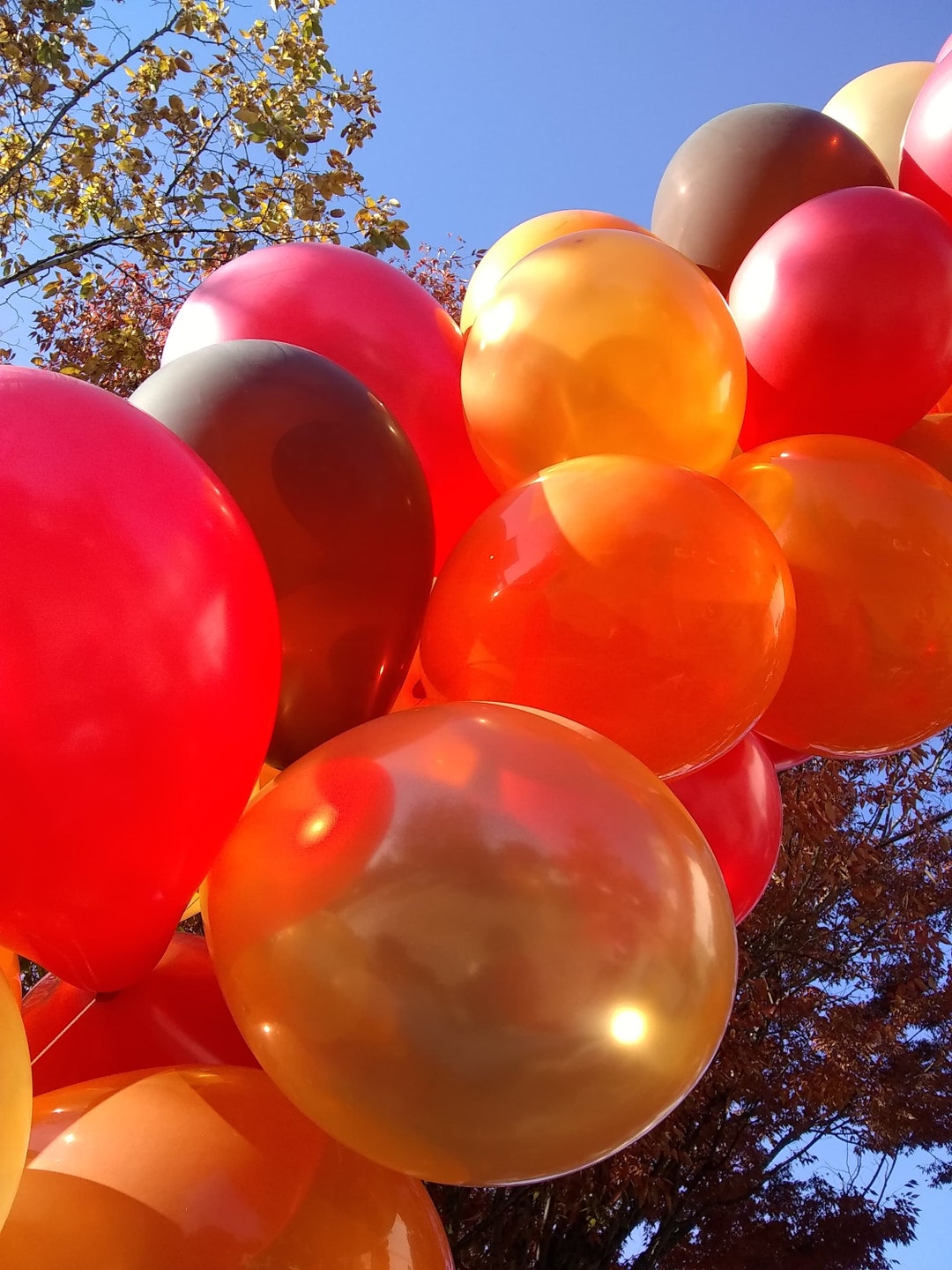 Autumn Balloons Bulk Fall Balloons Wedding Decorations Autumn Baby ...