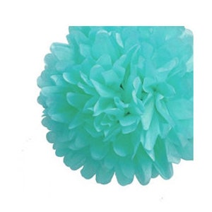 Set of 6 Poms Shades of Aqua Pom Kit Tissue Paper Flower Pom Pom ...