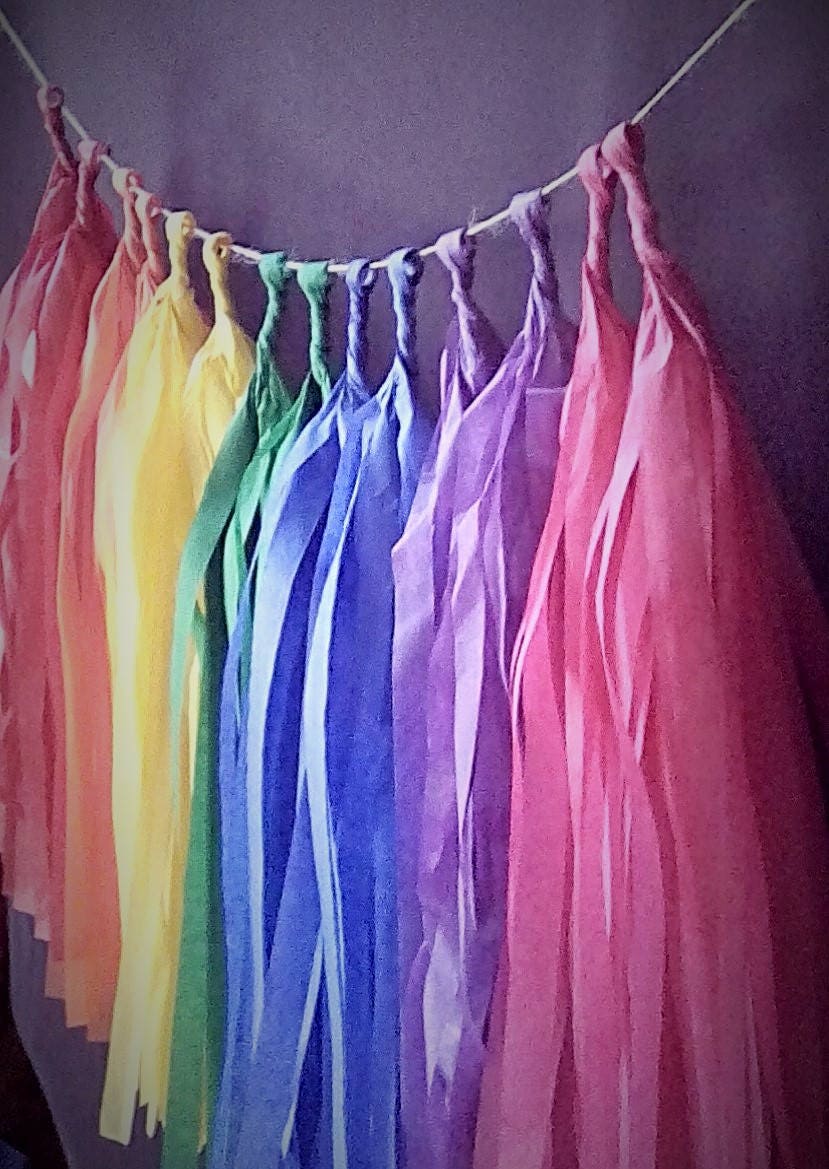 Rainbow Tassel Garland Rainbow Tissue Tassels Pride Party | Etsy