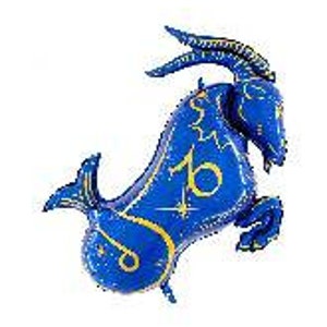 Zodiac Balloons Zodiac Party Decor Party Balloons Birthday Balloons ...