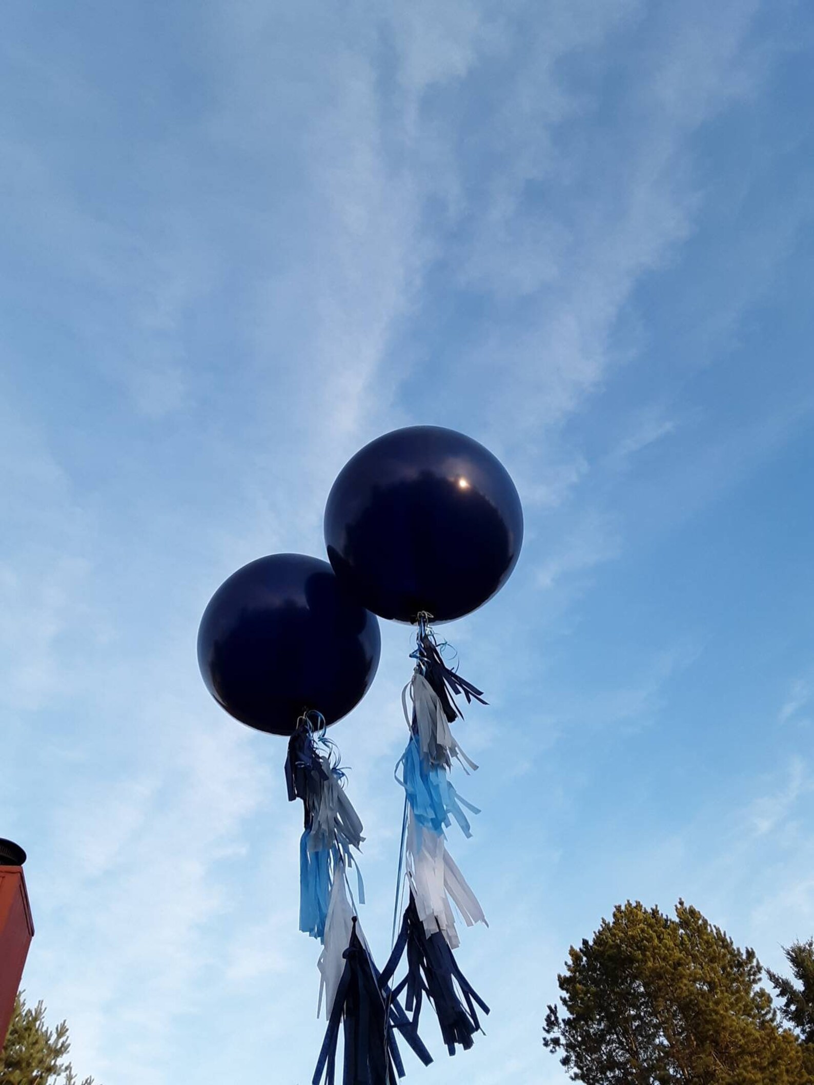 Pick Your Color 36 Inch Balloons Huge Colorful Balloons | Etsy