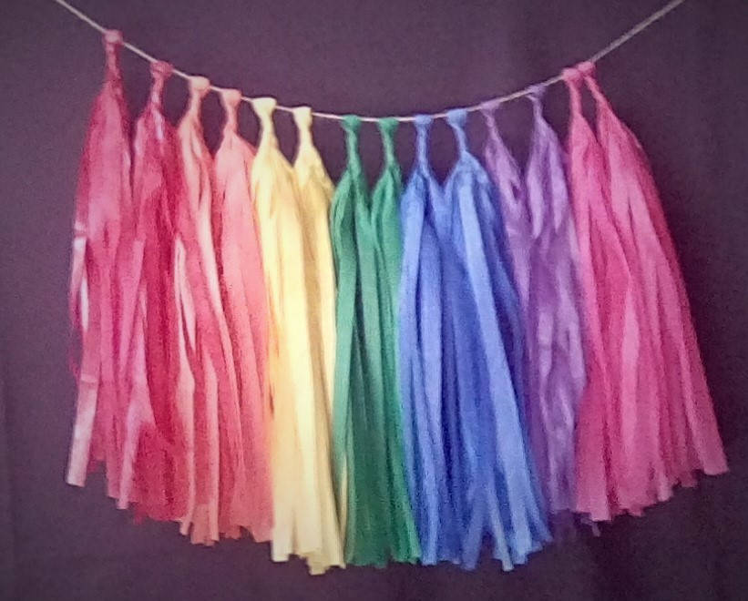 Rainbow Tassel Garland Rainbow Tissue Tassels Pride Party | Etsy