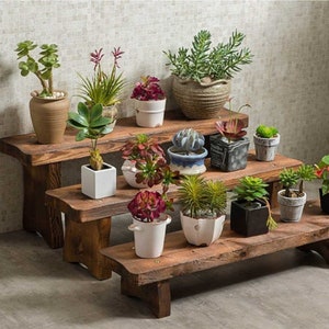 Low wooden bench for plants store