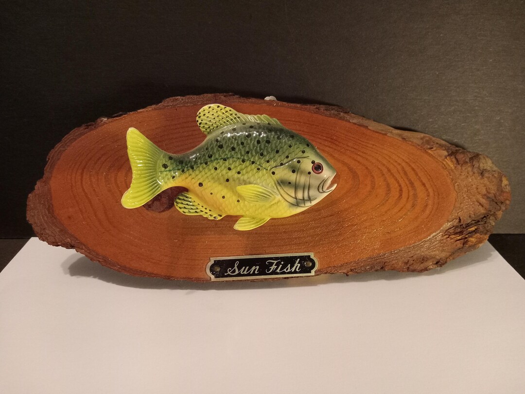 Vintage Napco Ceramic Wall Mount - Sun Fish - (NBPE#2748) - Etsy