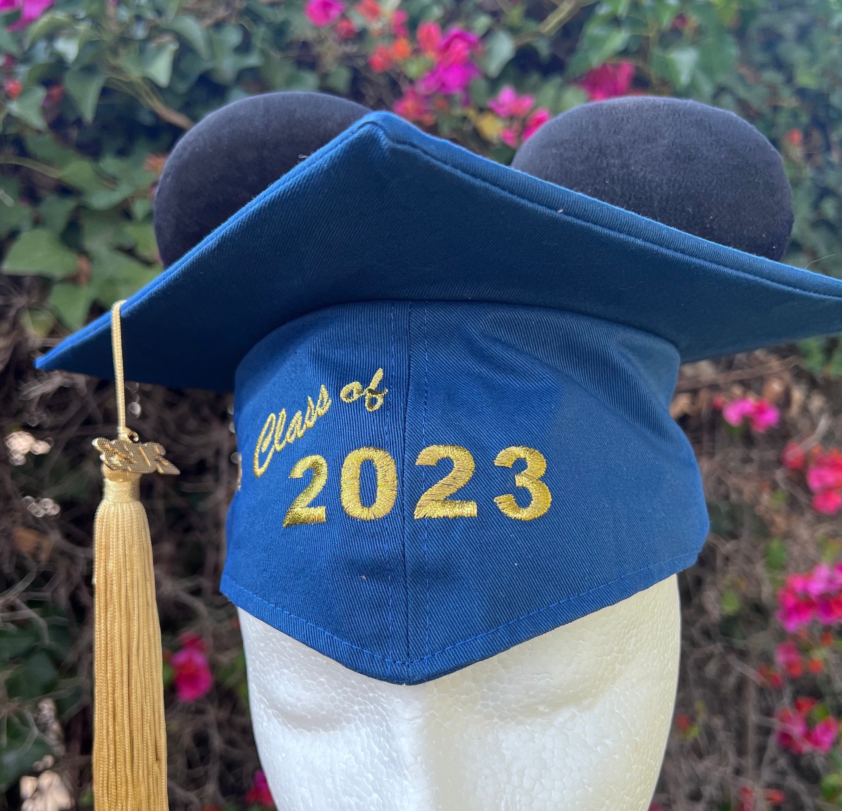 Mickey Mouse Graduation Hat | ppgbbe.intranet.biologia.ufrj.br