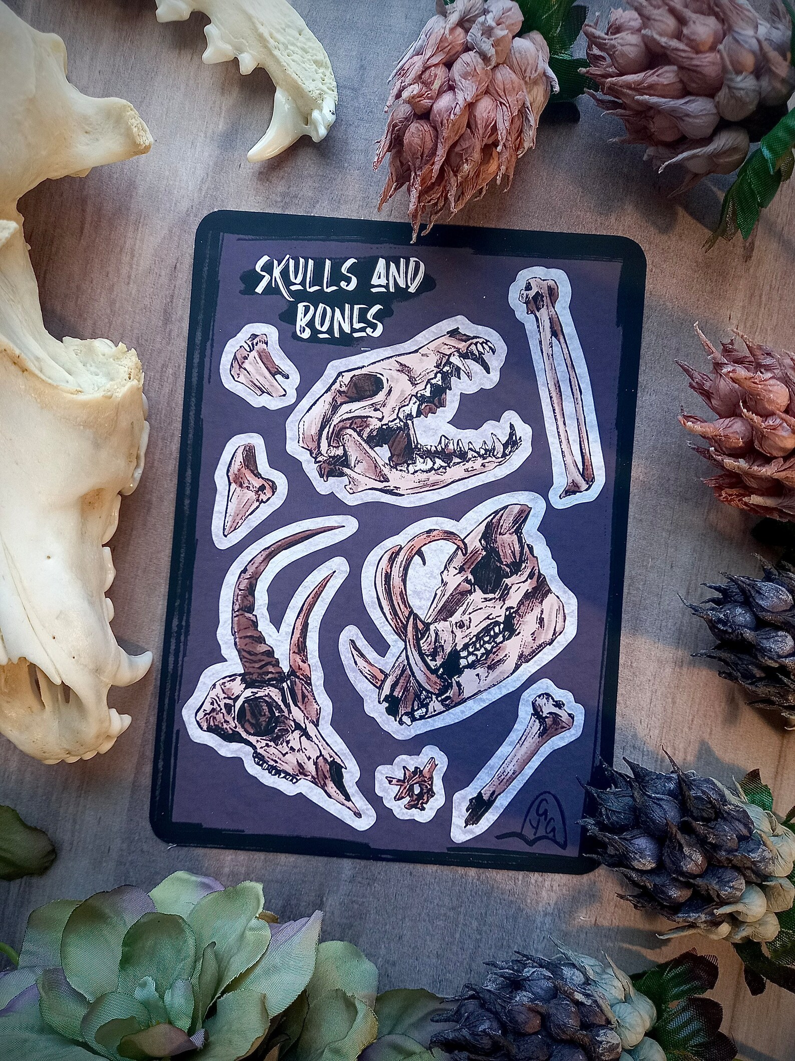 Skulls and Bones Sticker Sheet - Etsy