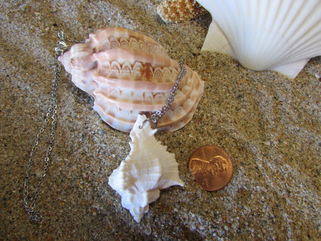 Murex Seashell Necklace- Mermaid Accessories-mermaid Necklace, Nautical ...