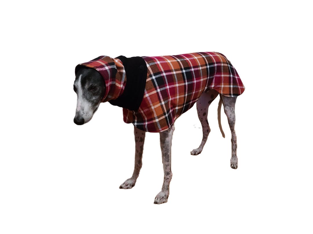 Maroon, Orange, White and Black Plaid Cotton Fabric GREYHOUND COAT With ...