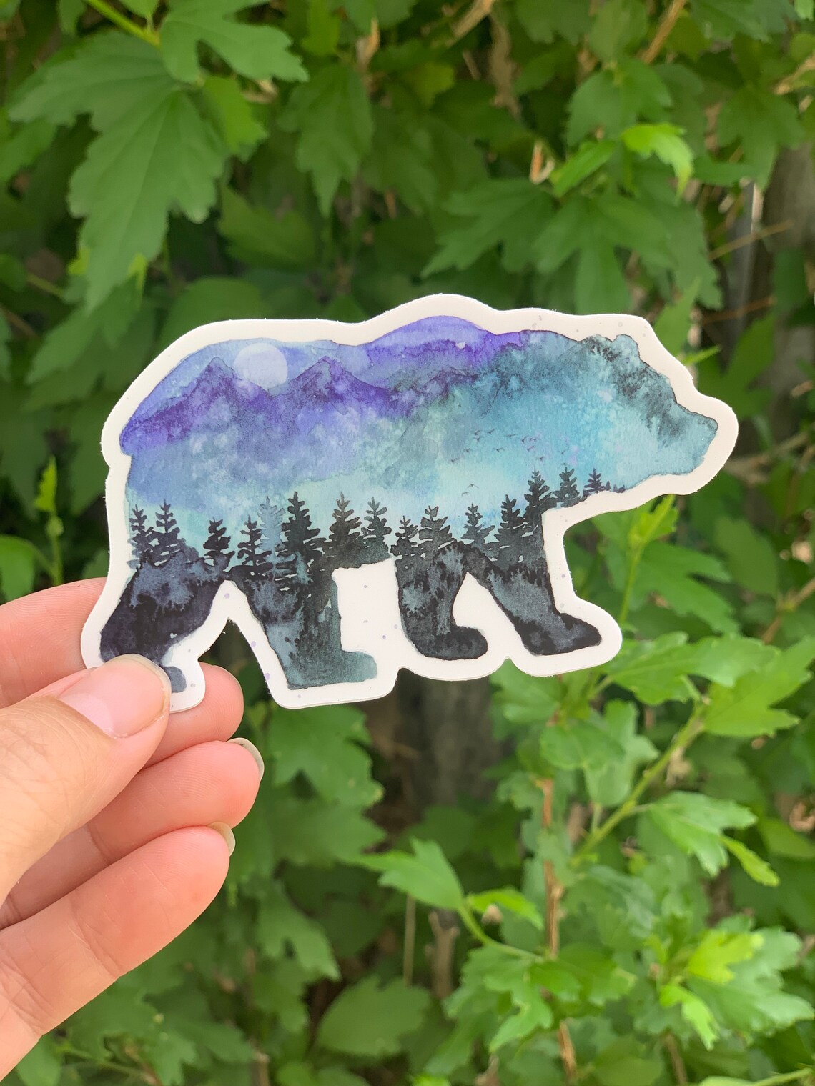 Bear Sticker Outdoor Sticker Watercolor Sticker Bear | Etsy