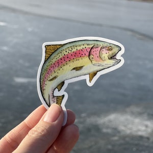 Fish Sticker, Trout Sticker, Fishing, Fishing Outdoors Sticker, Outdoor ...