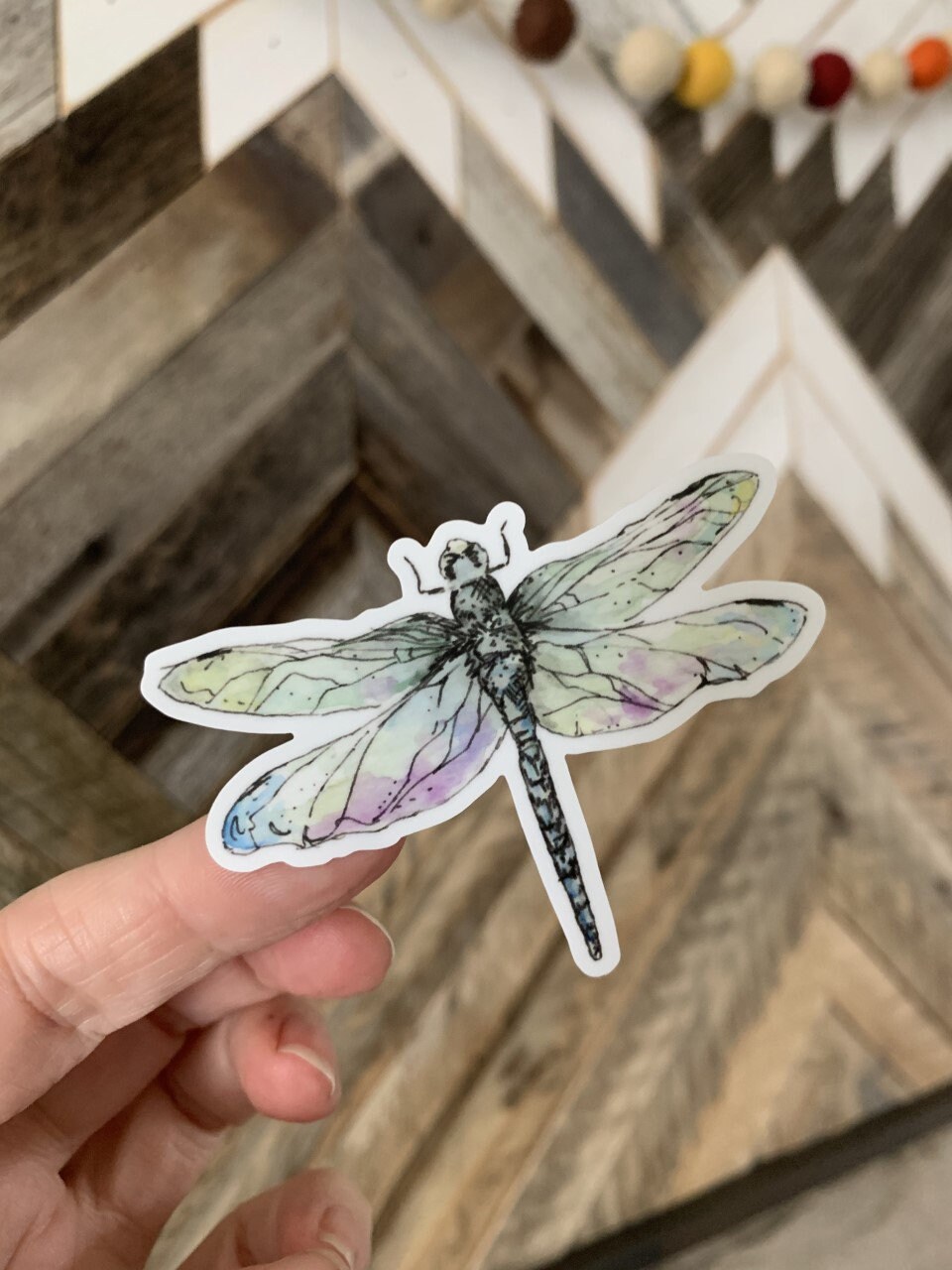 Bug stickers dragonfly sticker insect sticker sheet | Etsy