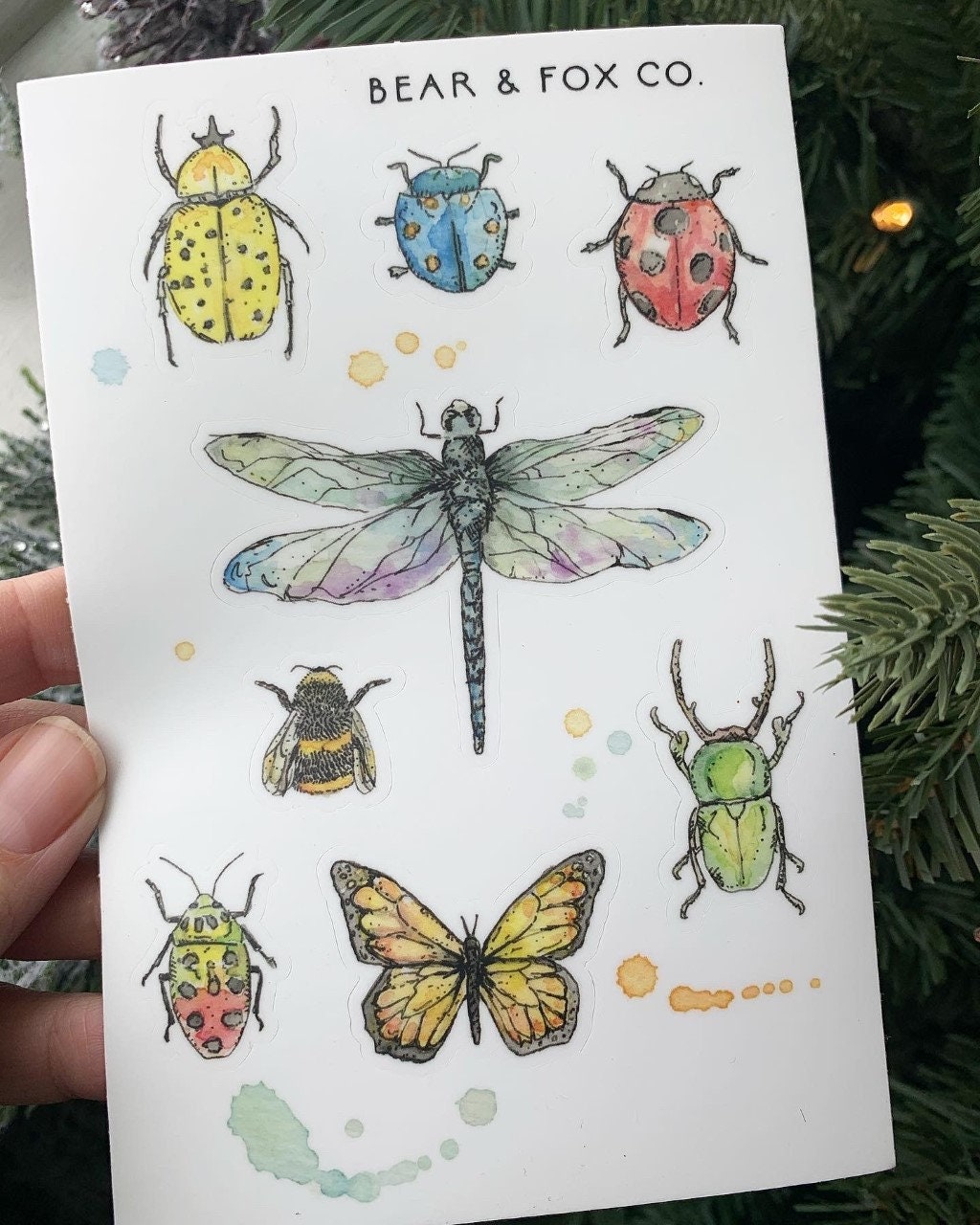 Bug stickers dragonfly sticker insect sticker sheet | Etsy