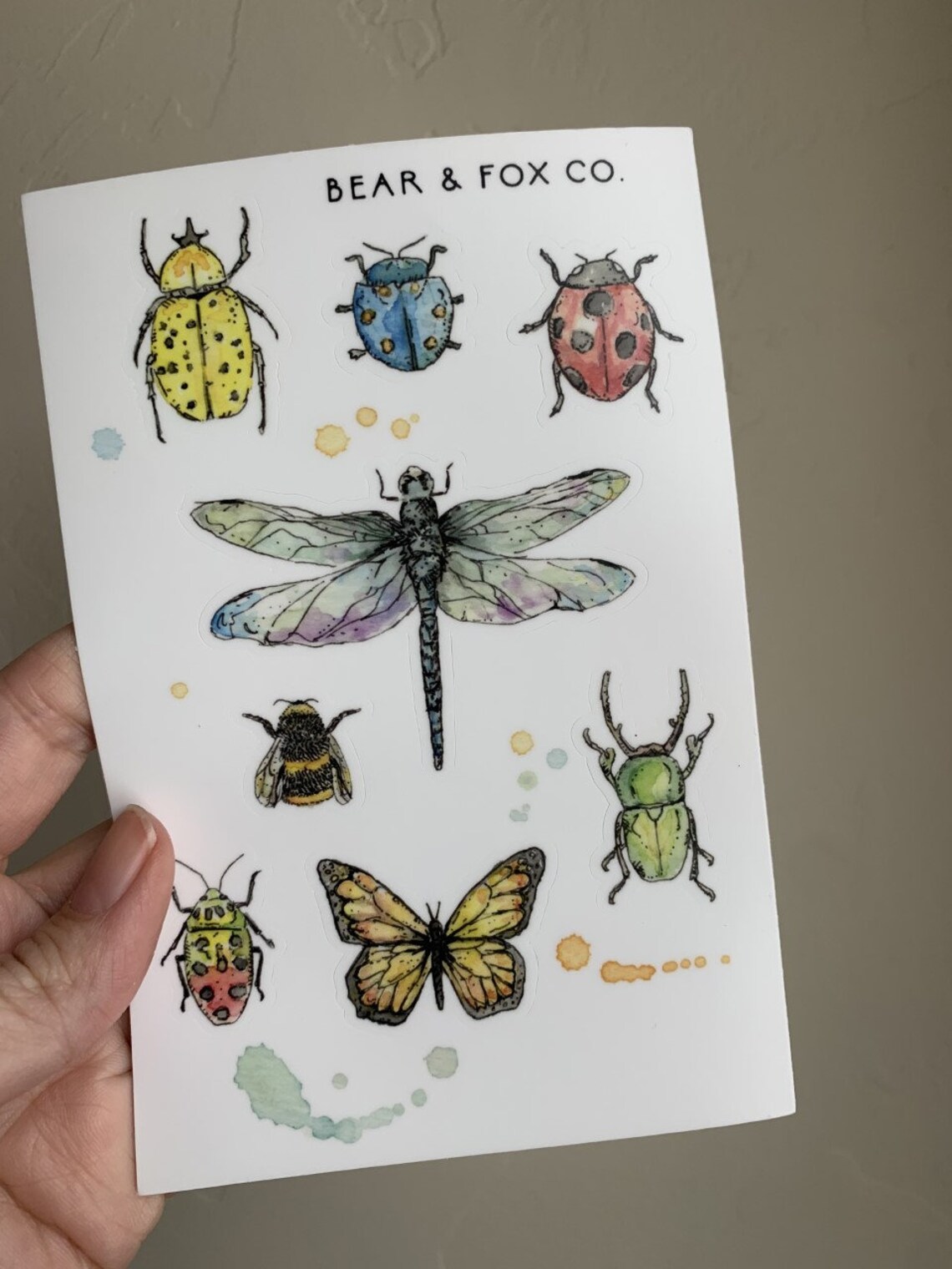 Bug Stickers Dragonfly Sticker Insect Sticker Sheet | Etsy