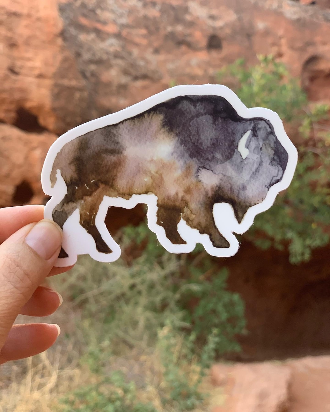 Buffalo Sticker, Bison Sticker, Boho Nursery, Buffalo Watercolor, Bison ...
