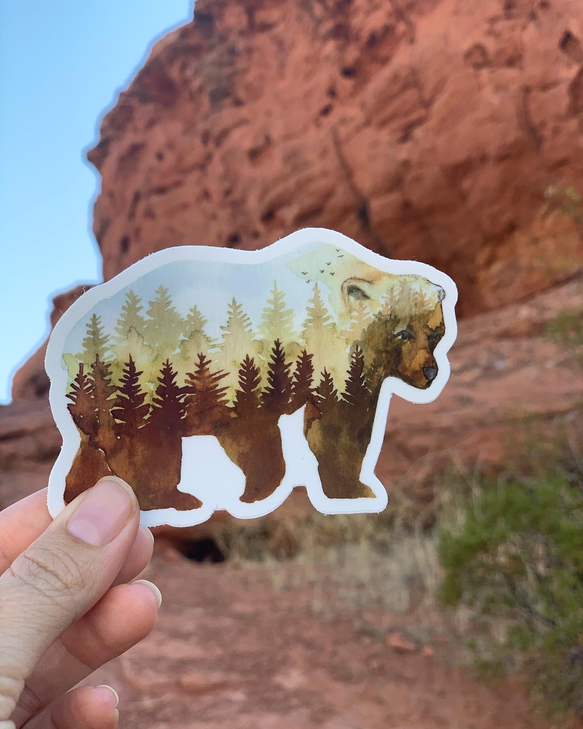 Bear Sticker Animal Sticker Laptop Sticker Woodland - Etsy