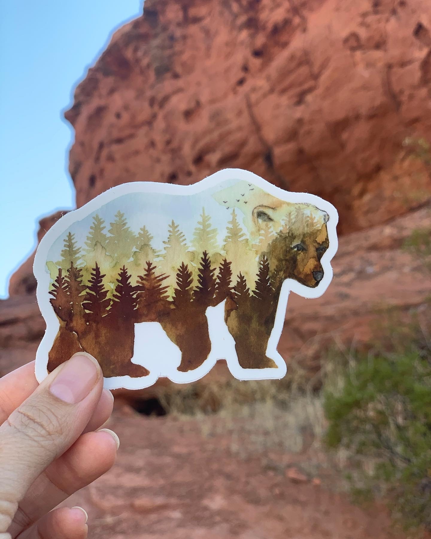 Bear Sticker Animal Sticker Laptop Sticker Woodland - Etsy