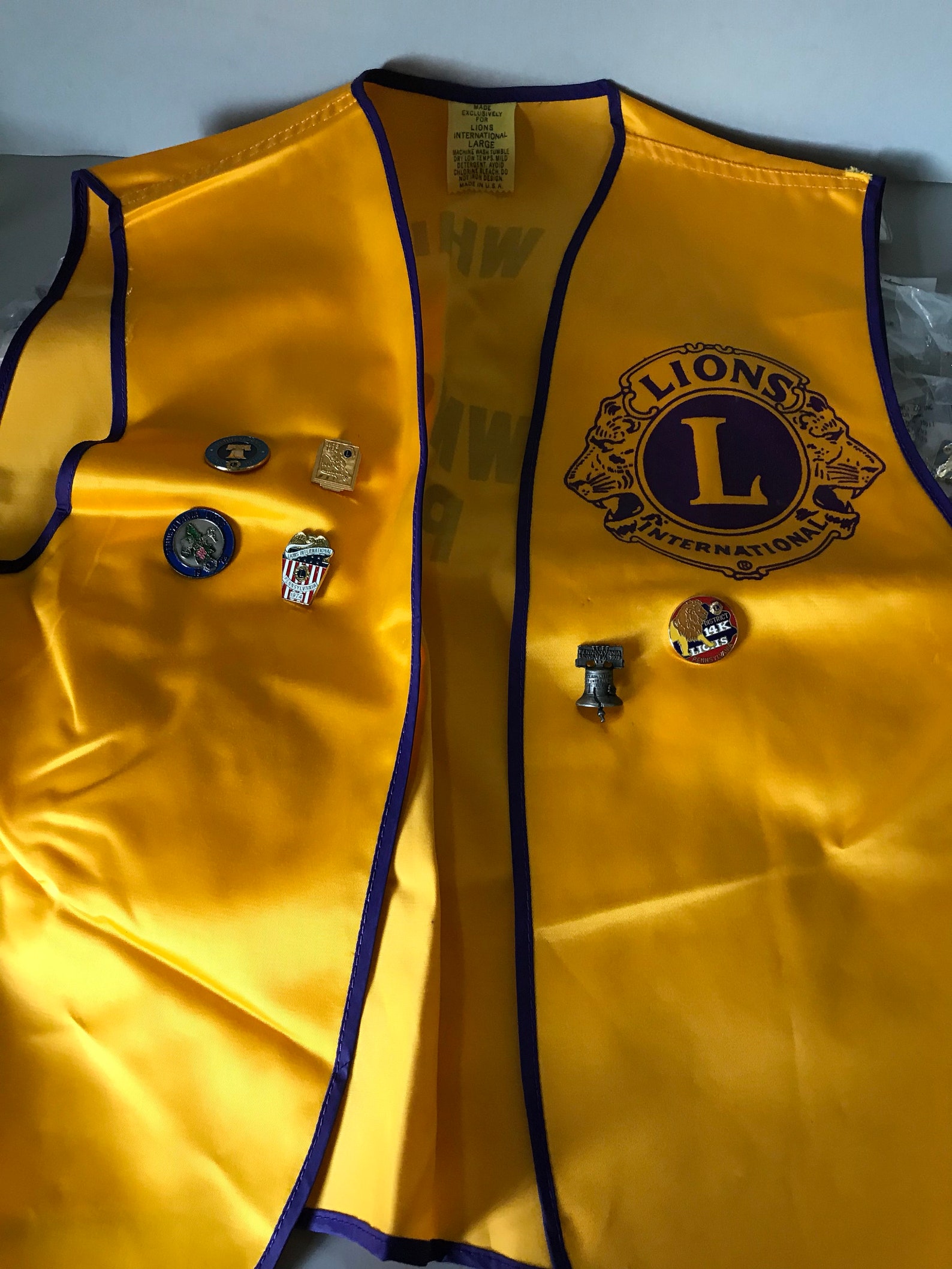 Vintage Lot of Lions International Pins Plaque Coin and Vest | Etsy