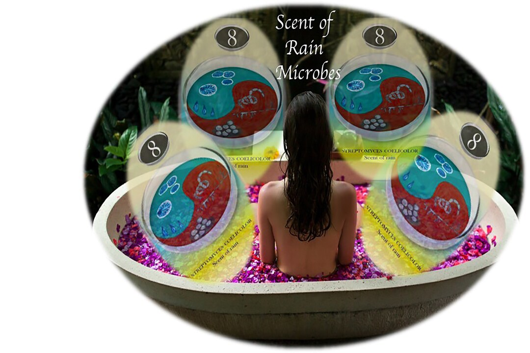 Eco-wisdom: Using Microbe Cards for Healing, Insight, and Learning the ...