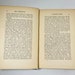 1897 Macabre Occult Fiction the Tormentor by Benjamin Swift Vintage ...