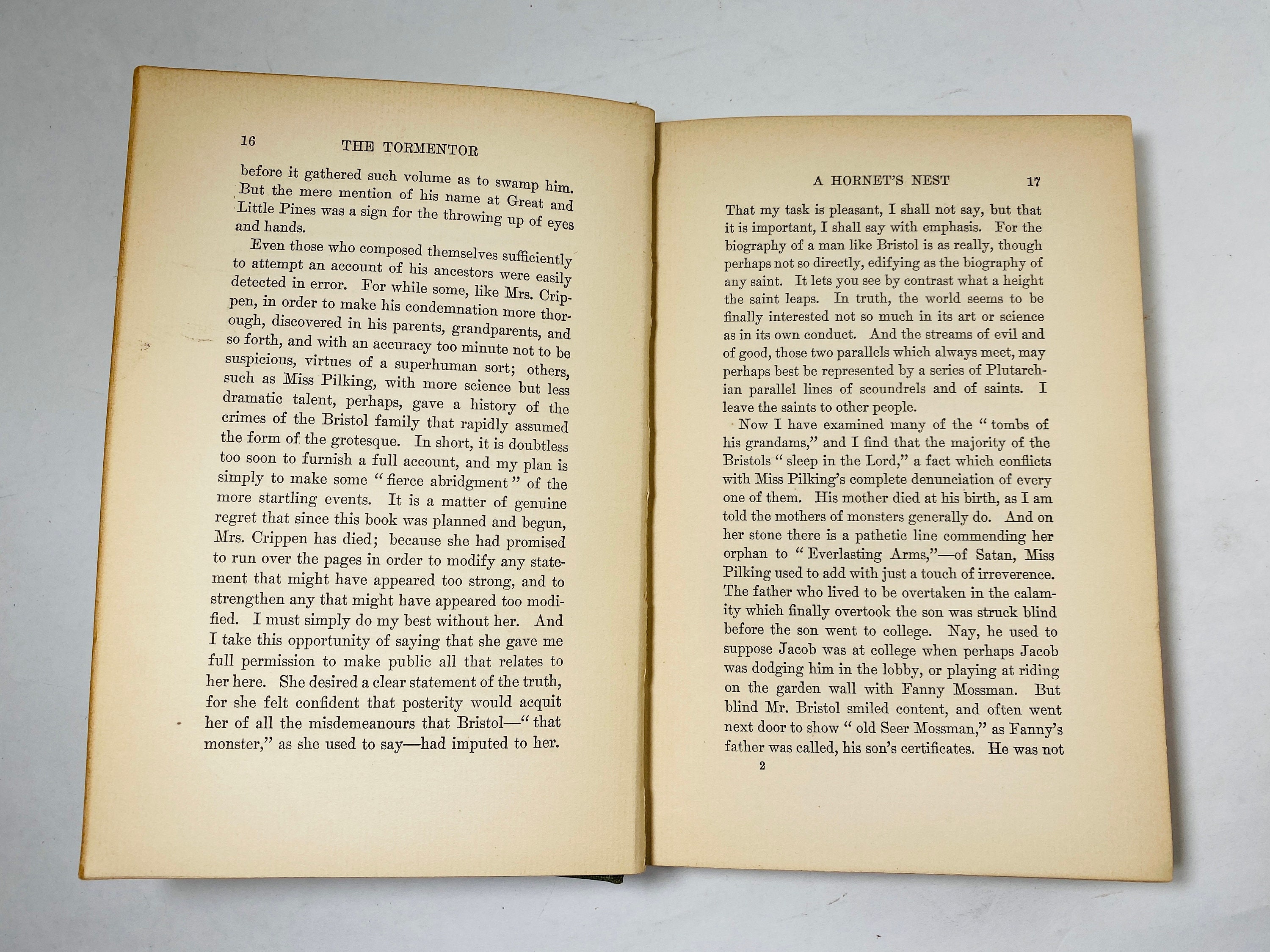 1897 Macabre Occult Fiction the Tormentor by Benjamin Swift Vintage ...