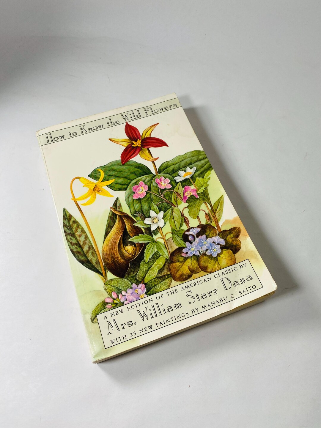 Wildflowers Vintage Field Guide With Line Drawings and Color Plates ...