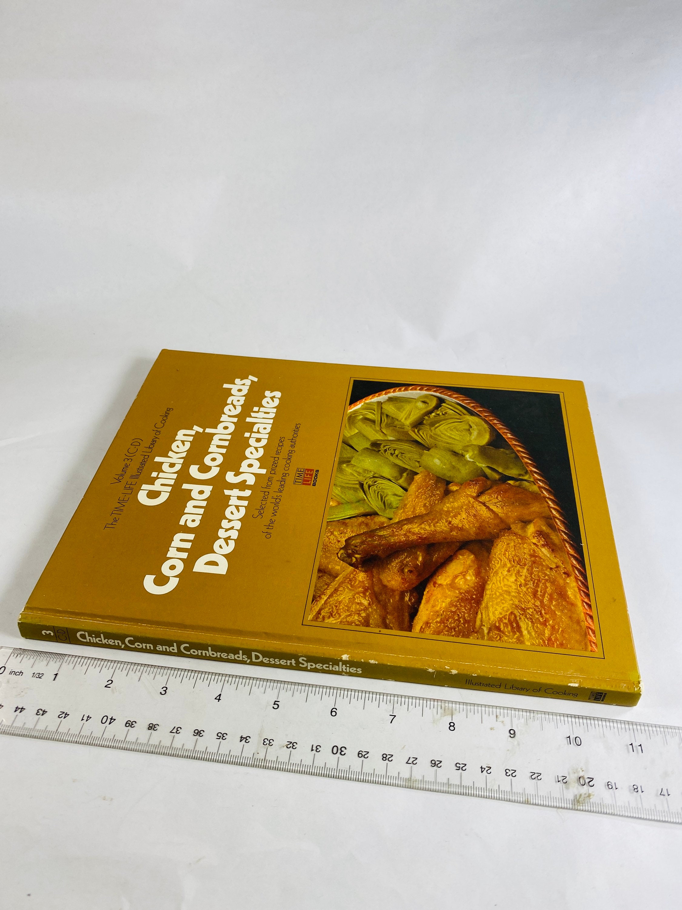 Cast Iron Chicken & Cornbread Cookbook Retro Southern Recipes and ...