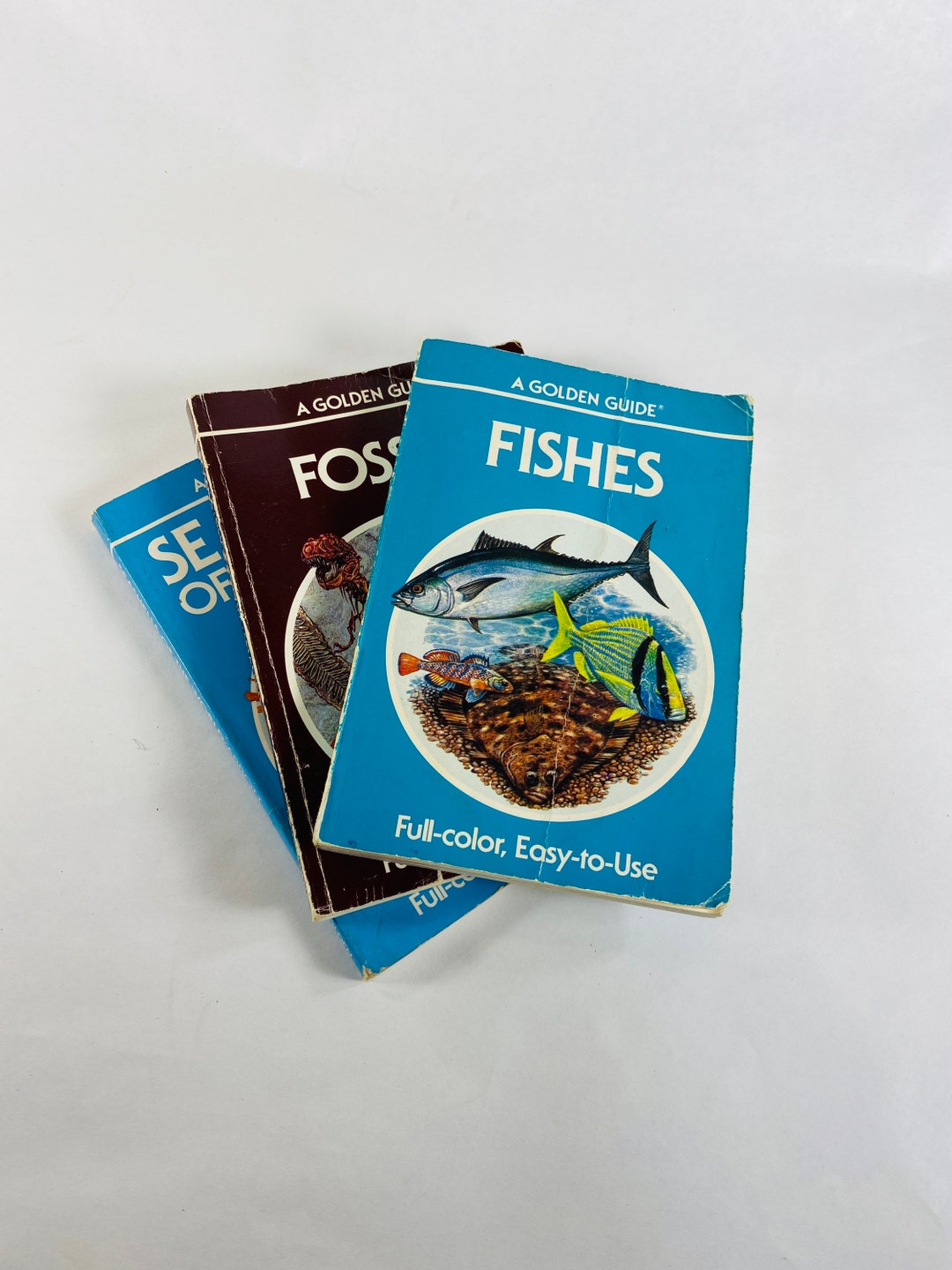 Golden Guide Book Fossils Seashells Fishes Vintage Paperback Books ...