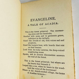 Evangeline by Henry Wadsworth Longfellow. Evangeline, an Acadian Girl ...