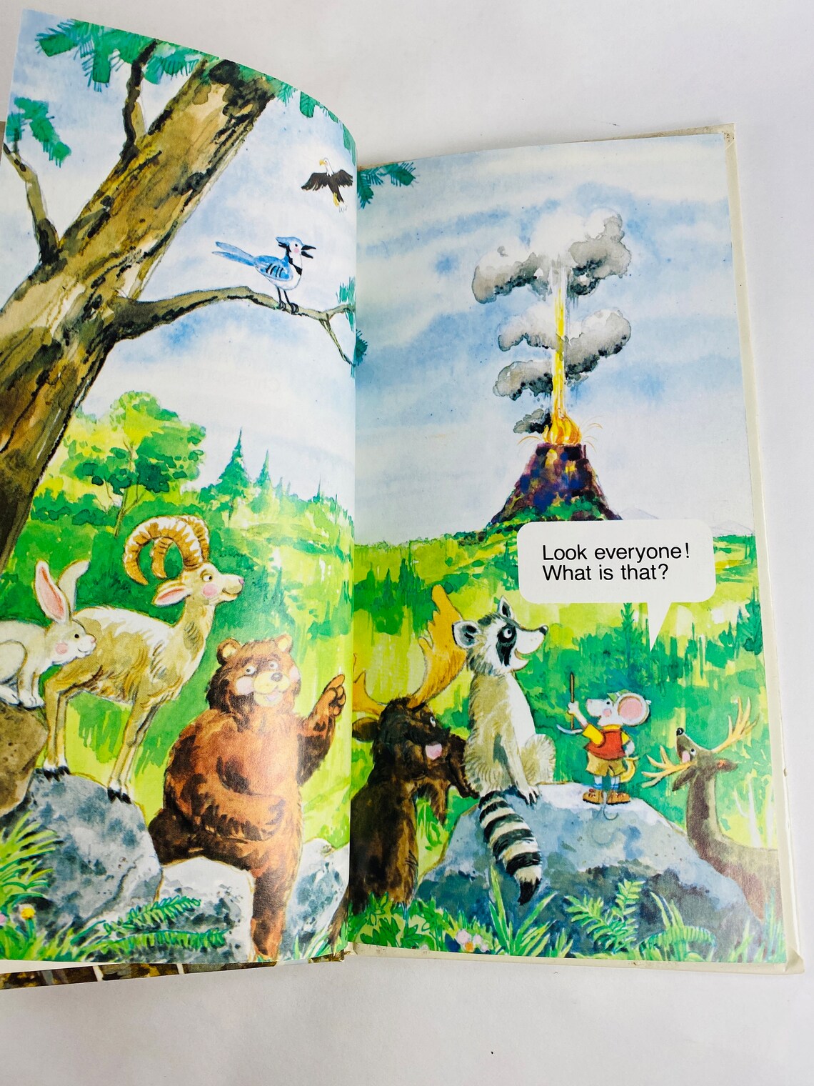 What is a Volcano Vintage Just Ask Children's Book Circa 1983 Weekly ...