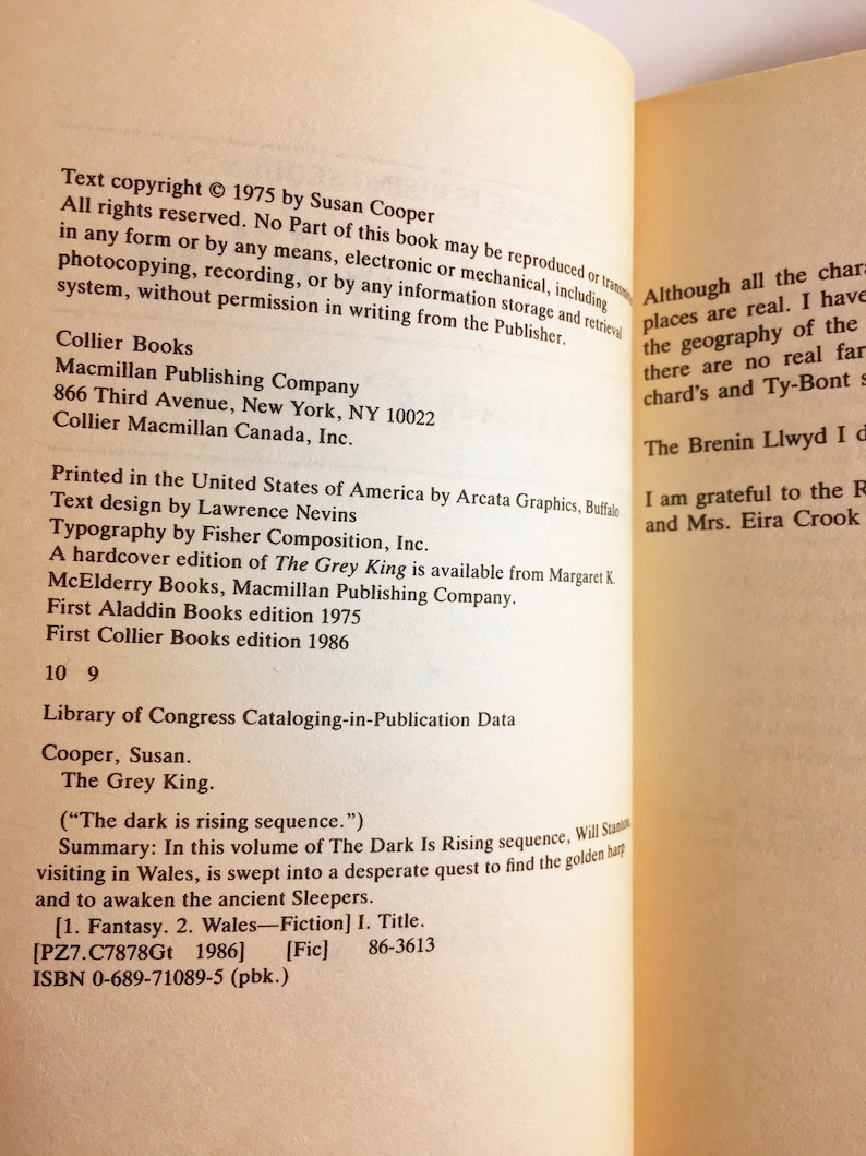 Grey King by Susan Cooper Vintage Fantasy paperback book | Etsy