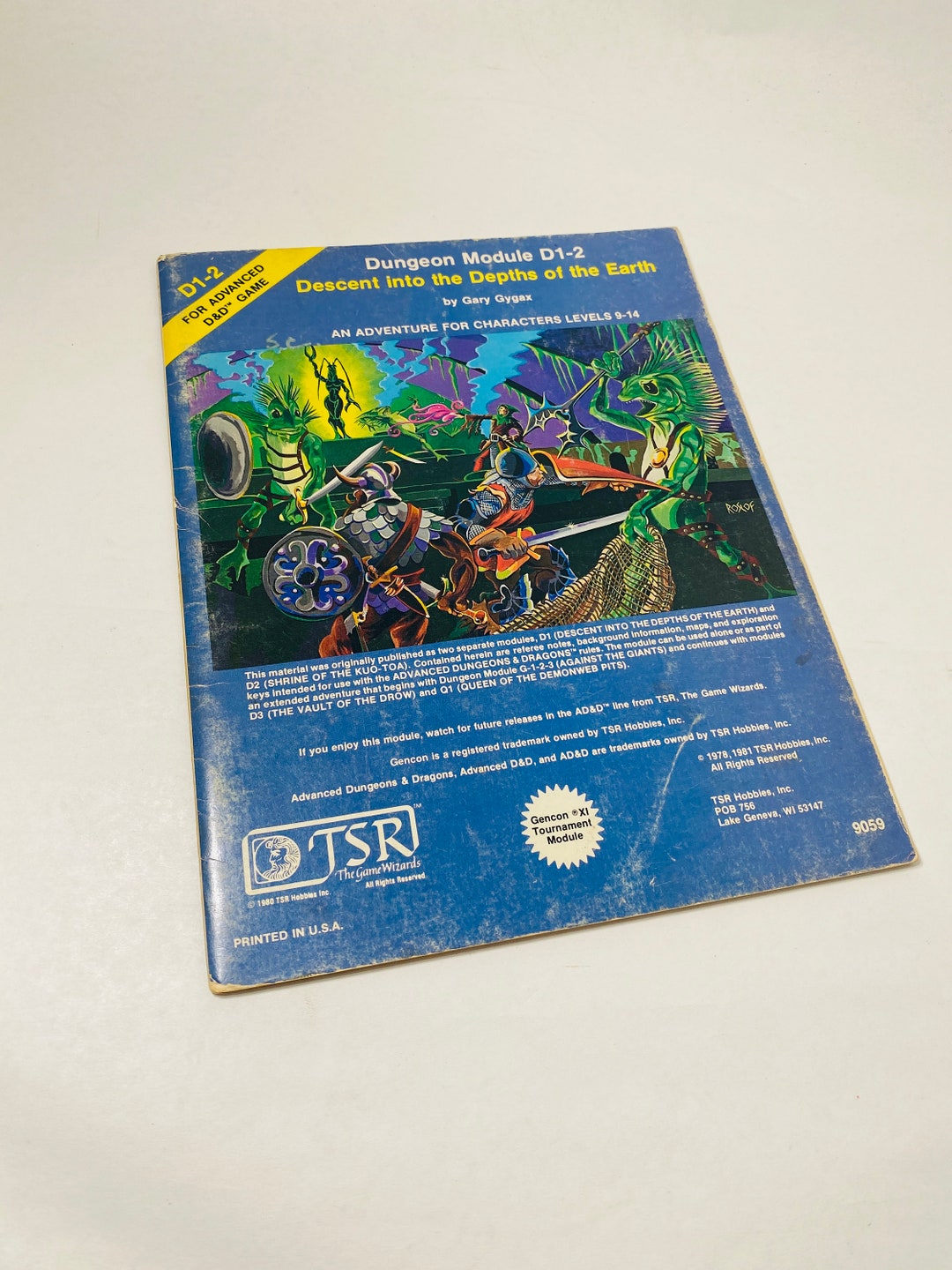 Dungeons & Dragons 1981 TSR Dungeon Module D1-2 Descent to the Depths ...