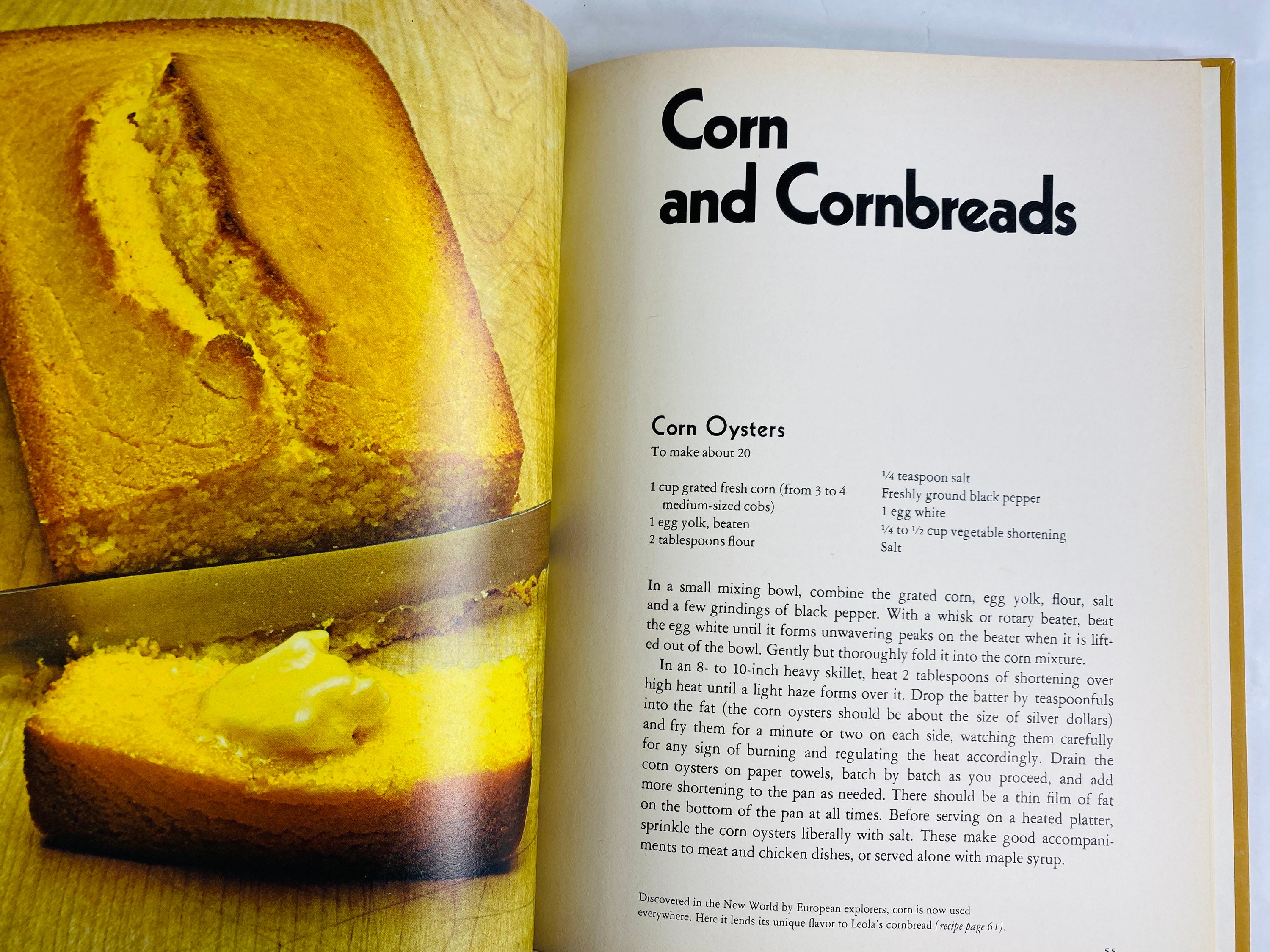 Cast Iron Chicken & Cornbread Cookbook Retro Southern Recipes and ...