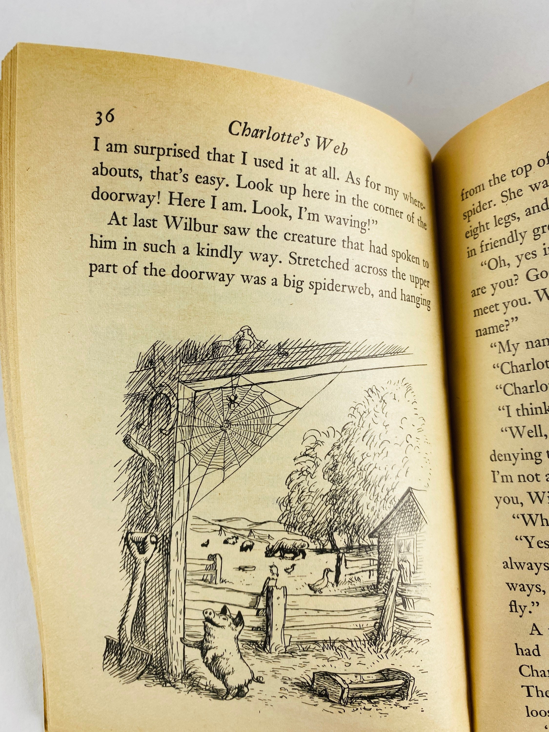 Charlottes Web by EB White Vintage Paperback Book Illustrated - Etsy