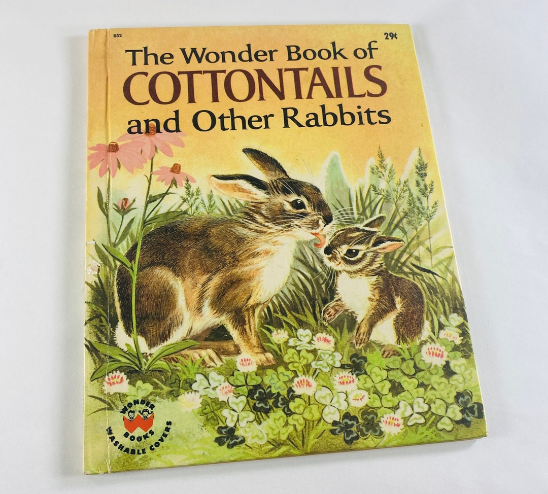 Wonder Book of Cottontails and Other Rabbits Vintage Children's Book ...