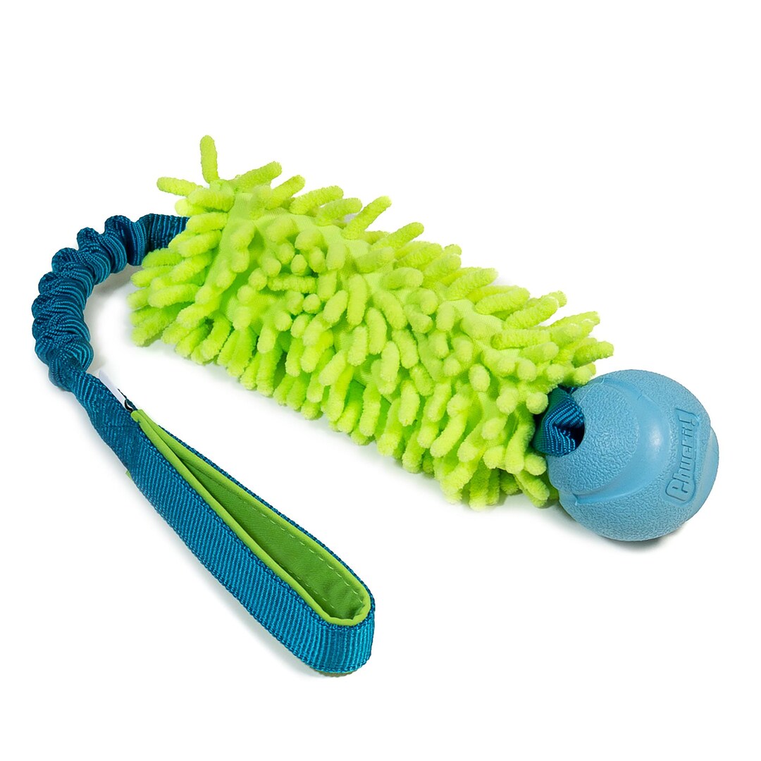 SMALL Mop Bungee With Chuckit! Fetch Ball - Etsy