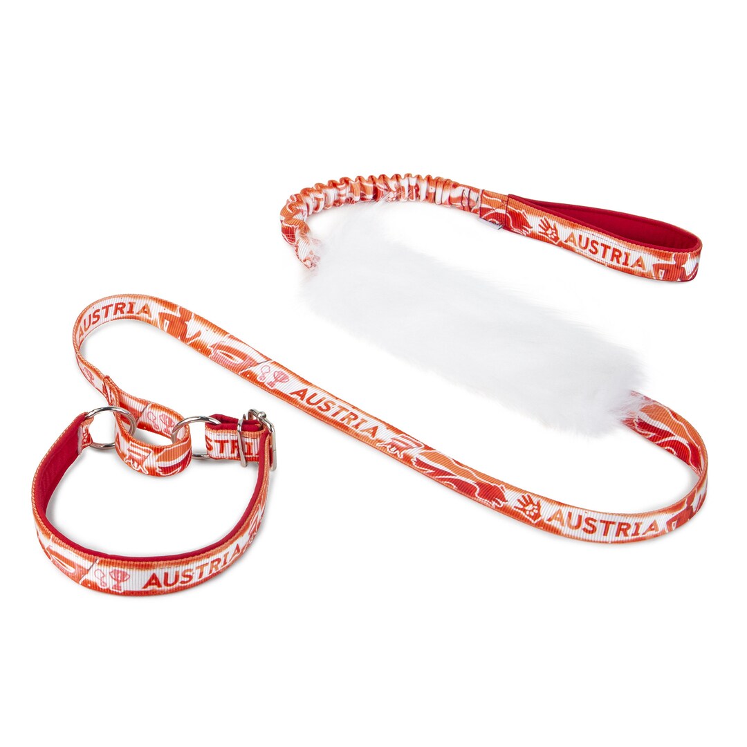 AUSTRIA Agility Leash With Faux Fur and Bungee 3in1 FURRY PATRIOTS - Etsy