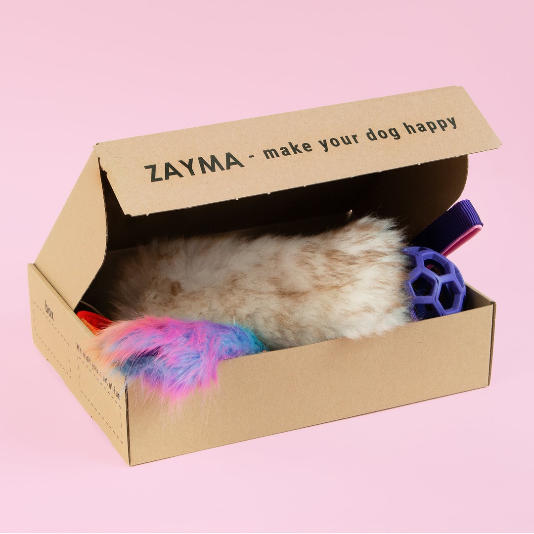 Classic Box for Dogs - Etsy