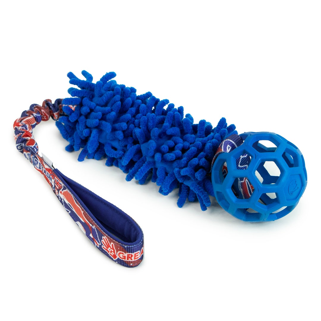 GREAT BRITAIN Mop With Bungee and Jw Pet Hol-ee Roller - Etsy