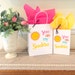 Hello Sunshine Party Bag Sunshine Birthday Party Bags - Etsy