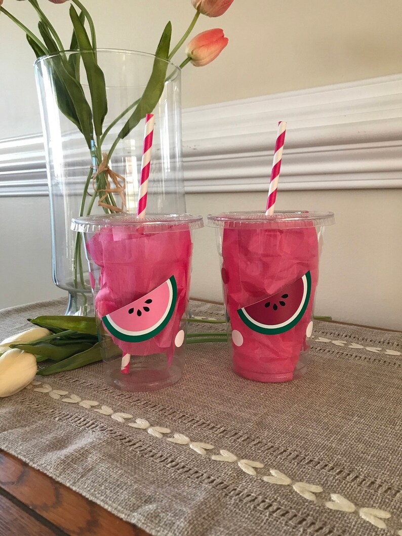 Watermelon Party Cup, Watermelon Birthday Party, Fruit Party Cups ...