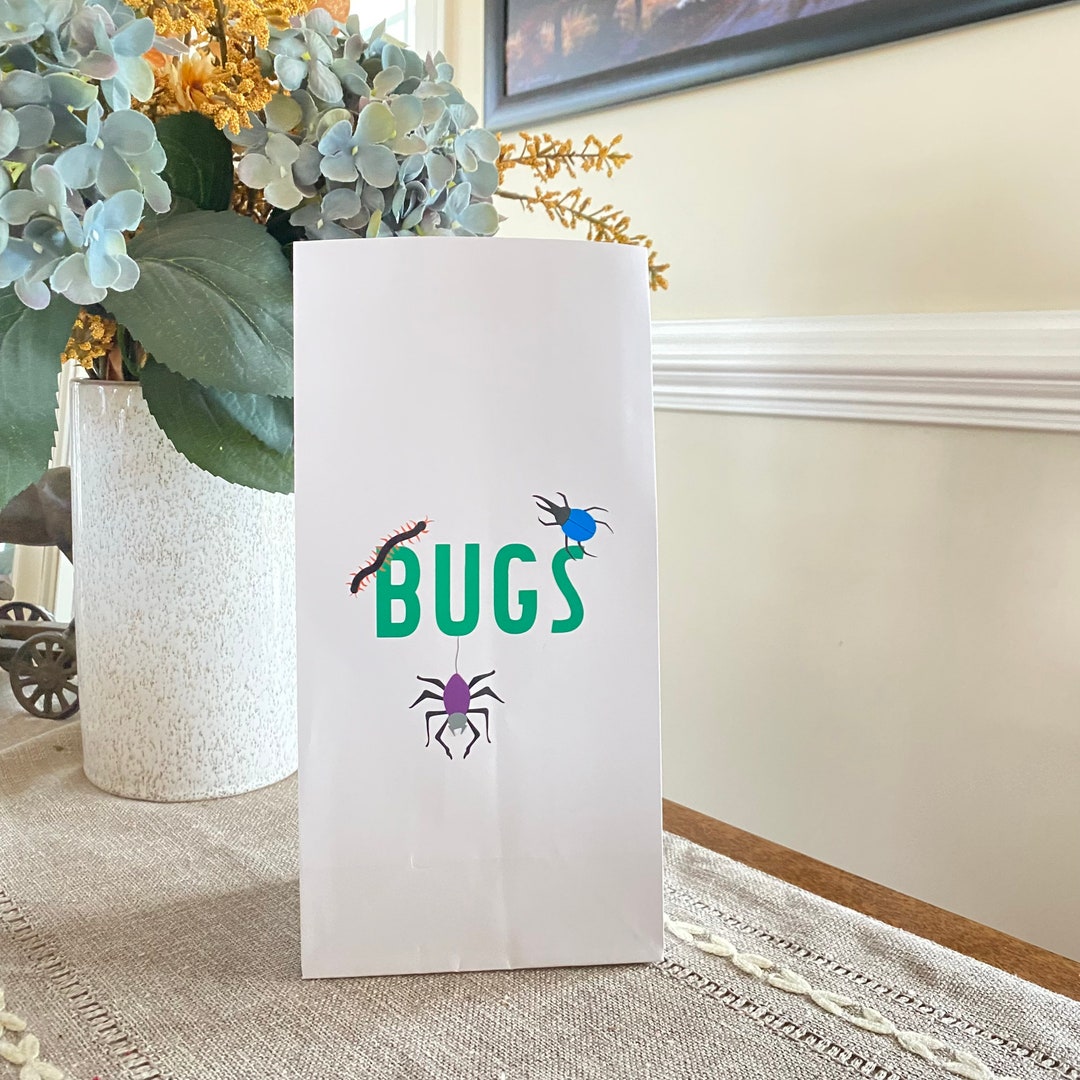 Bug Birthday Party, Insect Birthday Party, Mini Treat Bags, Bug Treat ...