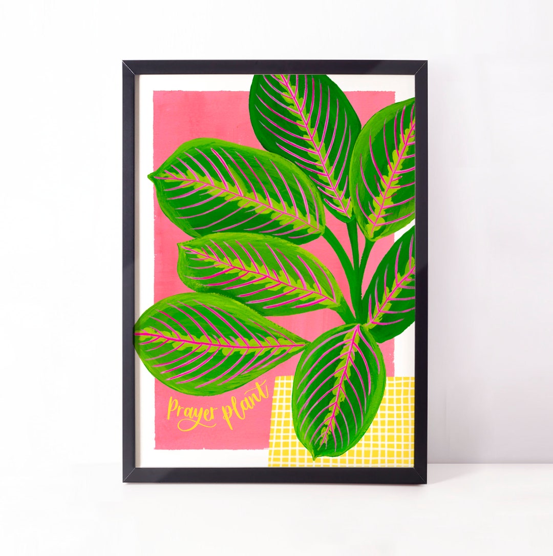 A4 Colourful Botanical Print - Prayer Plant - Etsy