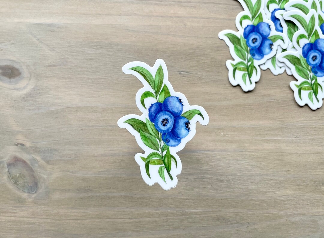 Watercolor Blueberry STICKER | Fruit Sticker, Watercolor Blueberry ...