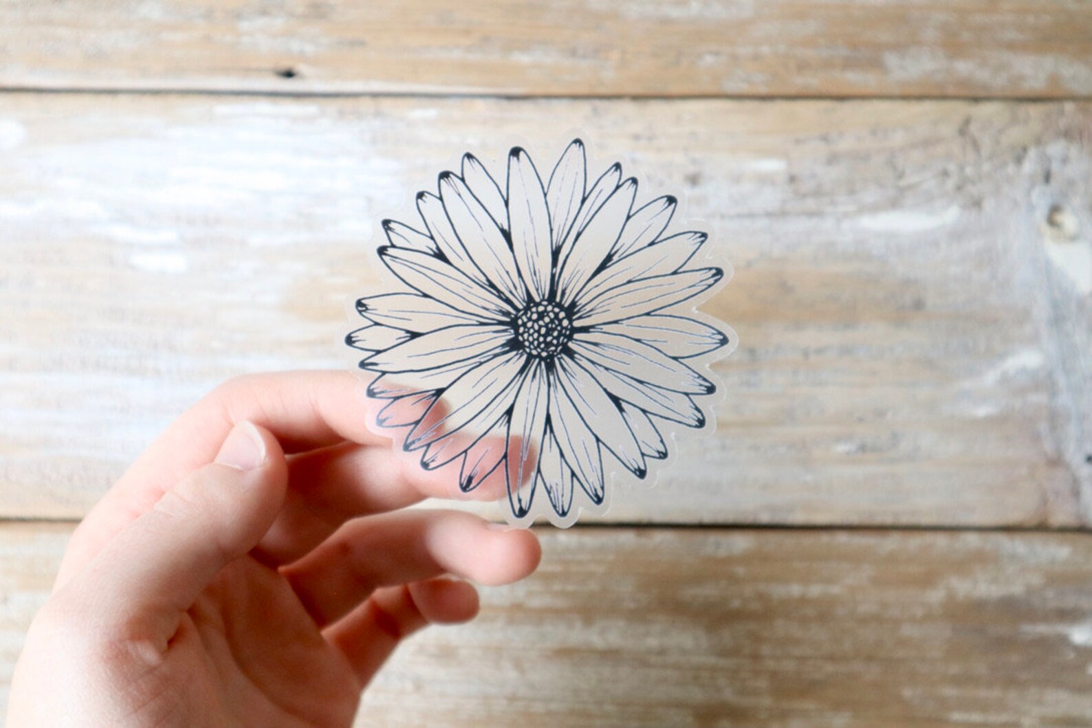 Daisy STICKER Clear Matte Line Drawing Sticker Daisy | Etsy