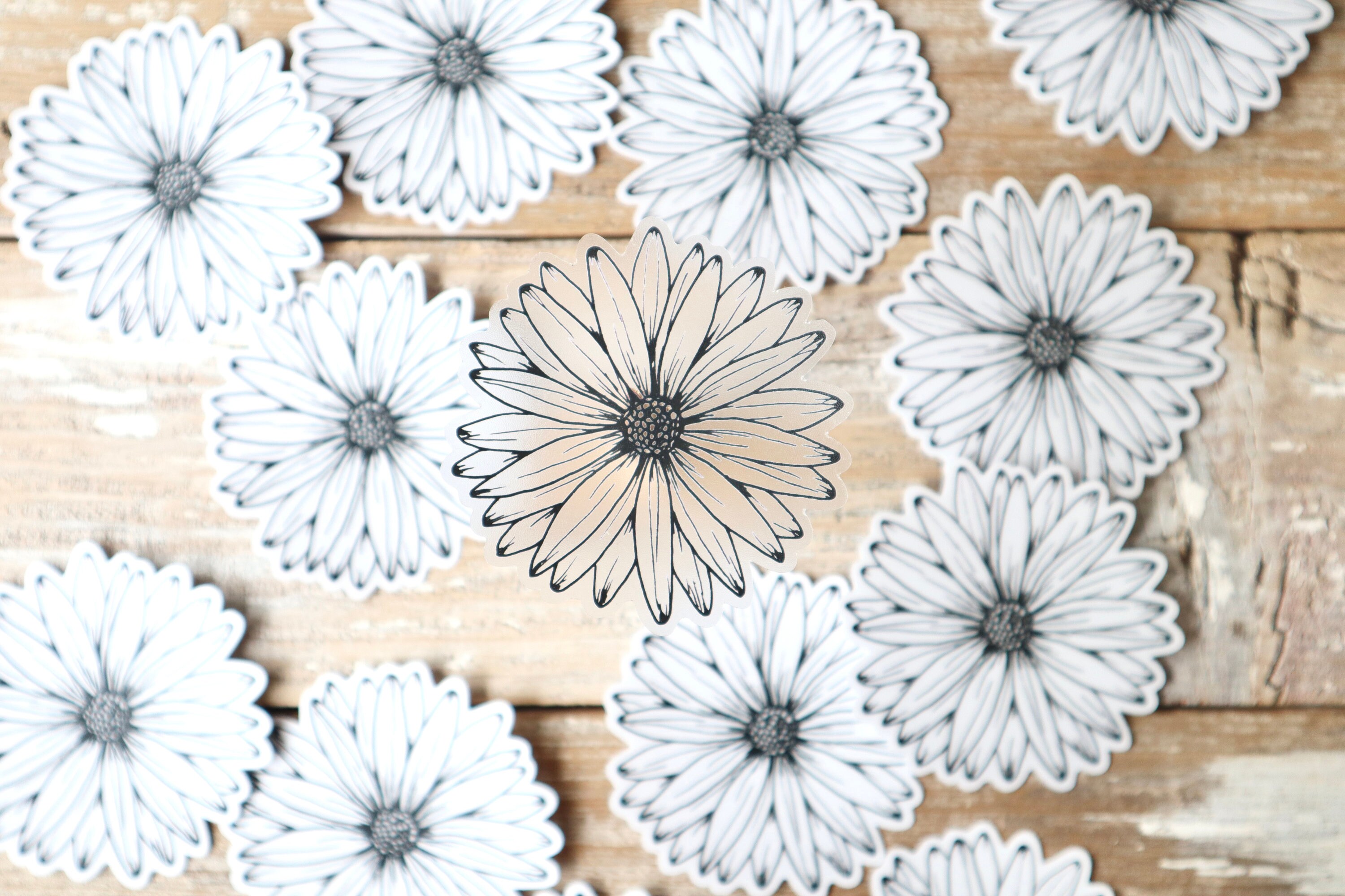 Daisy STICKER Clear Matte Line Drawing Sticker Daisy | Etsy