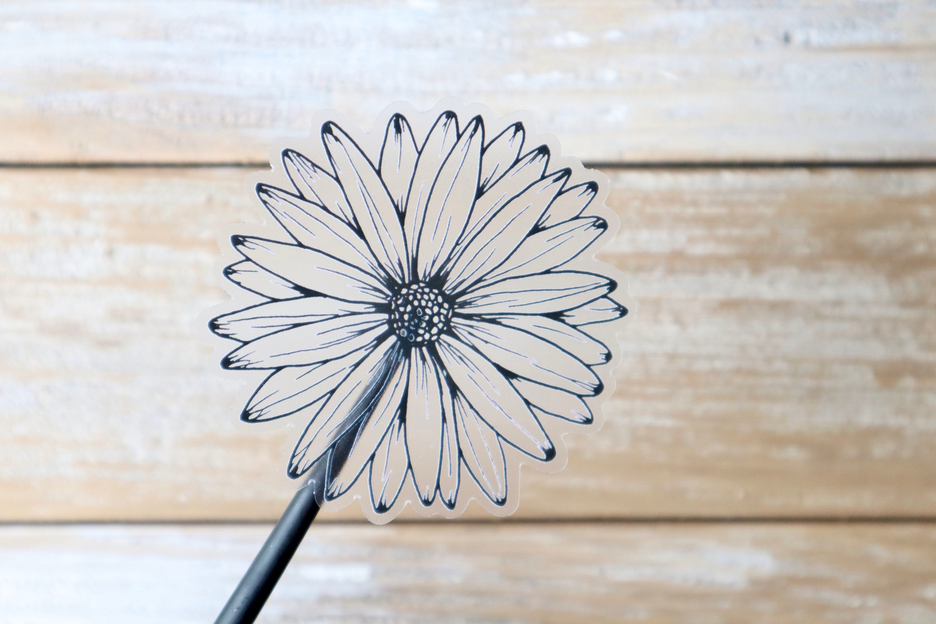 Daisy STICKER Clear Matte Line Drawing Sticker Daisy | Etsy