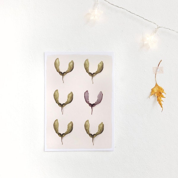 Maple Seed Drawing - Etsy