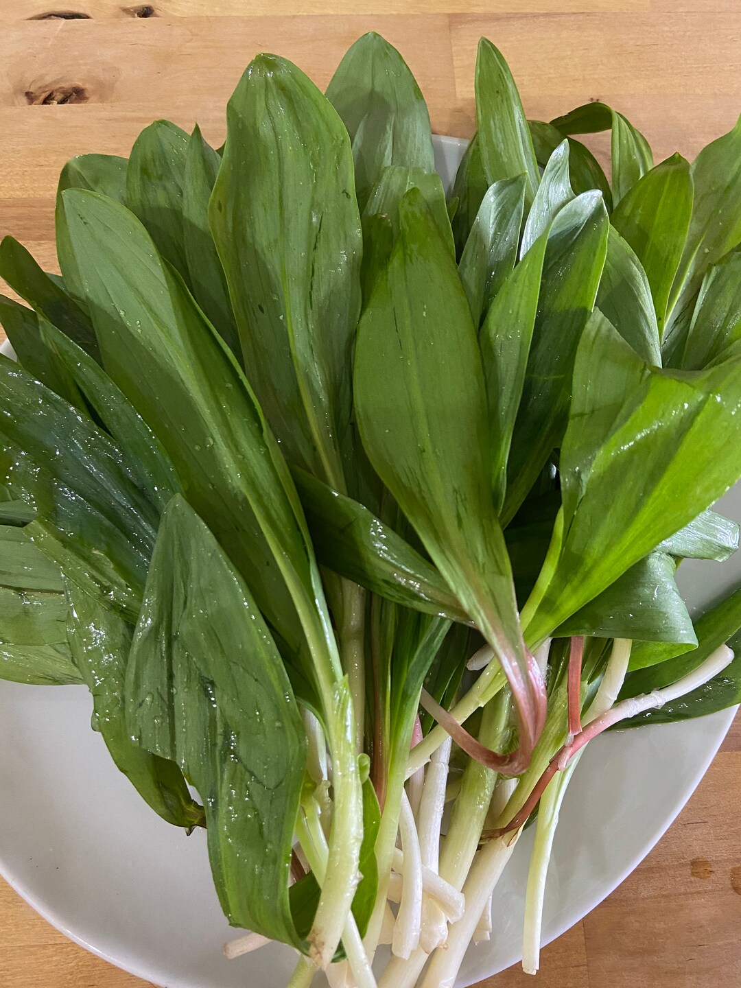 Wild Ramp Print - Etsy