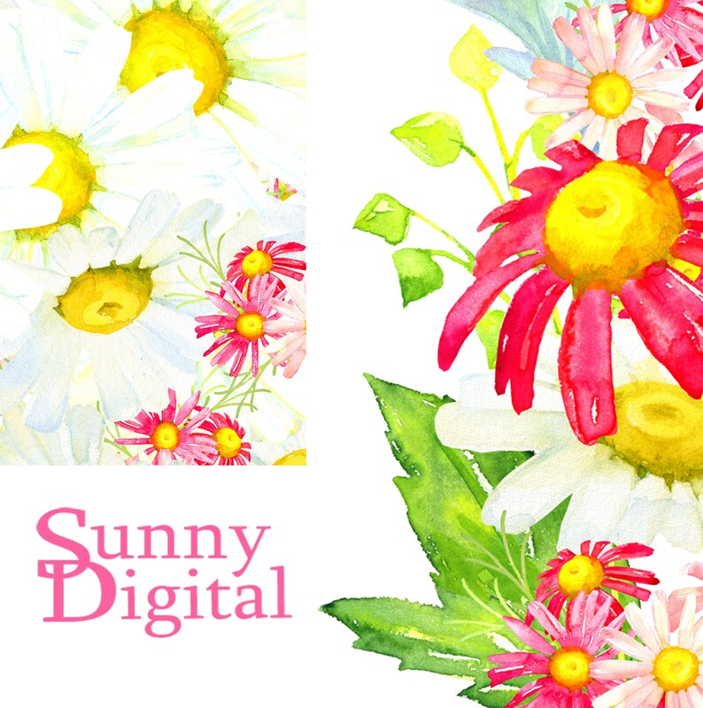 Pink white daisy Watercolor set Floral heart clipart Border | Etsy